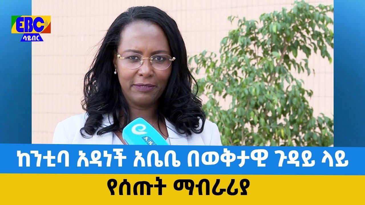 Artist Etsehiwot Abebe luxury house visit